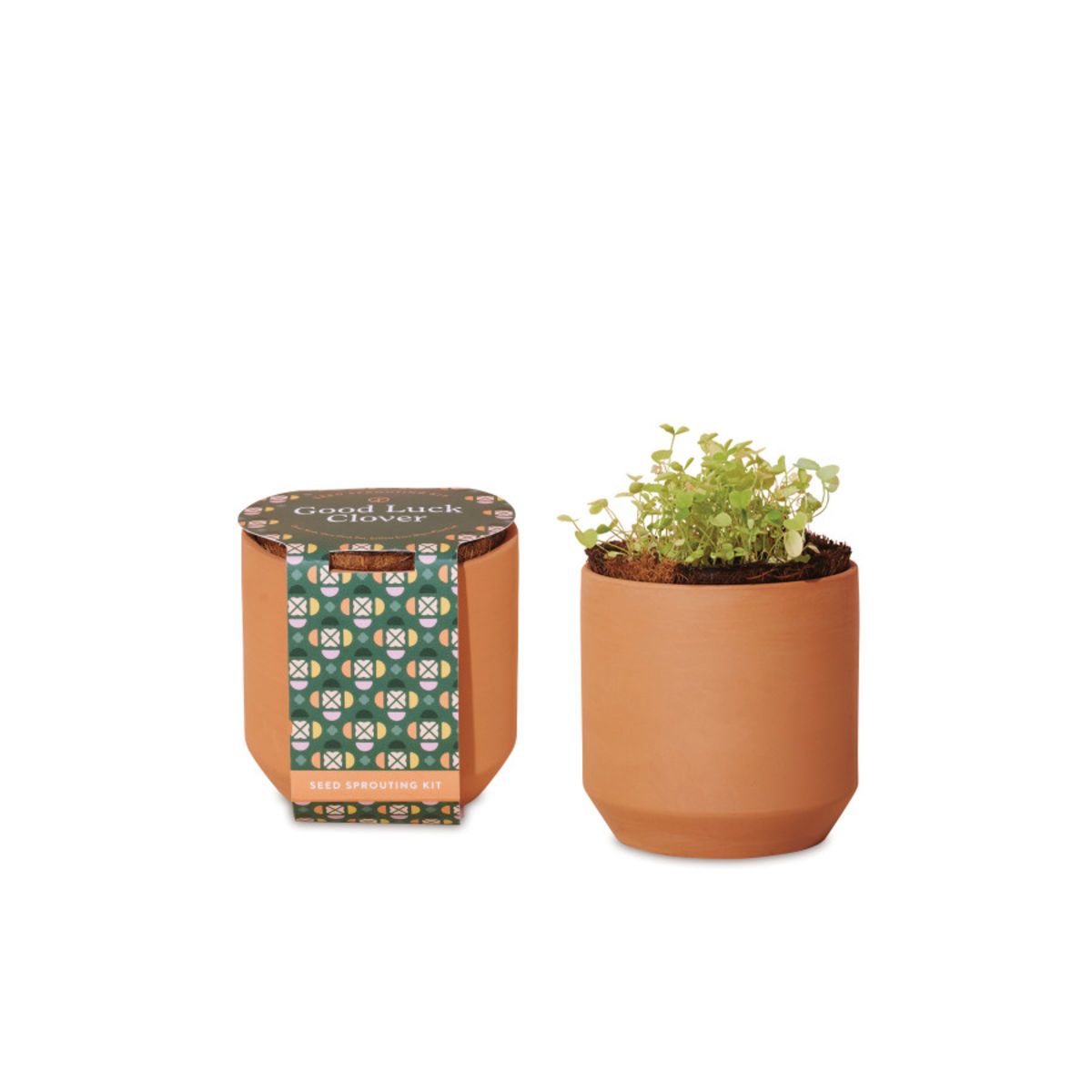 Modern sprout tiny terracotta grow kit good luck clover | Inkmule