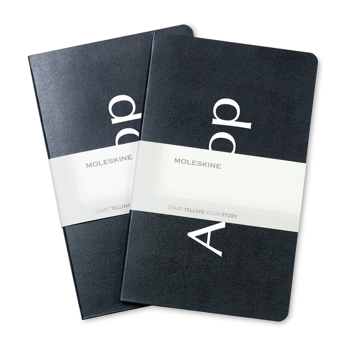 Moleskine® Large Volant and GO Pen Gift Set | Inkmule