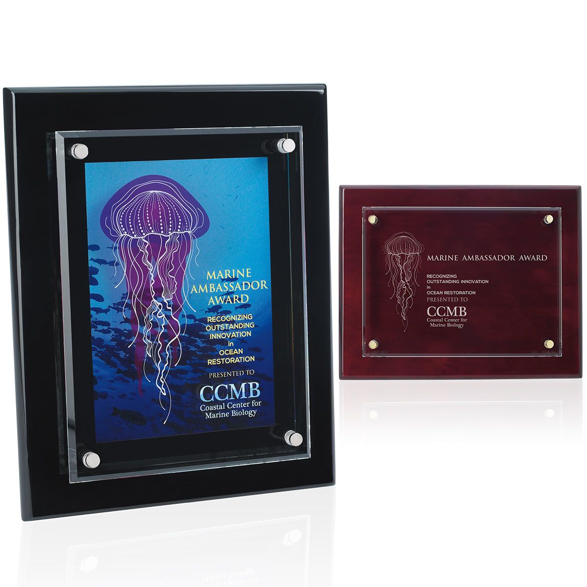 Floating glass plaque - 8 x 10 | Inkmule