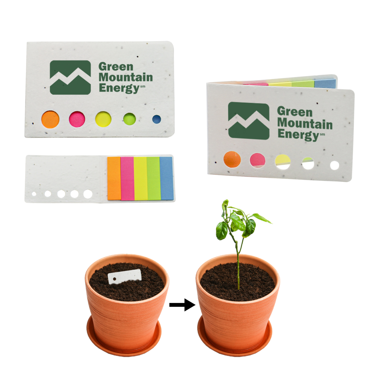 Seed sticky notes | Order Swag