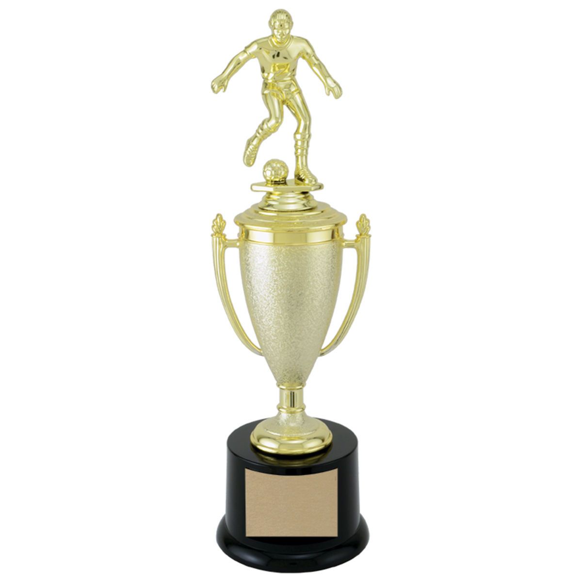 Custom Stipple cup, award trophy, 10 Personalized With Your Logo | 1 ...
