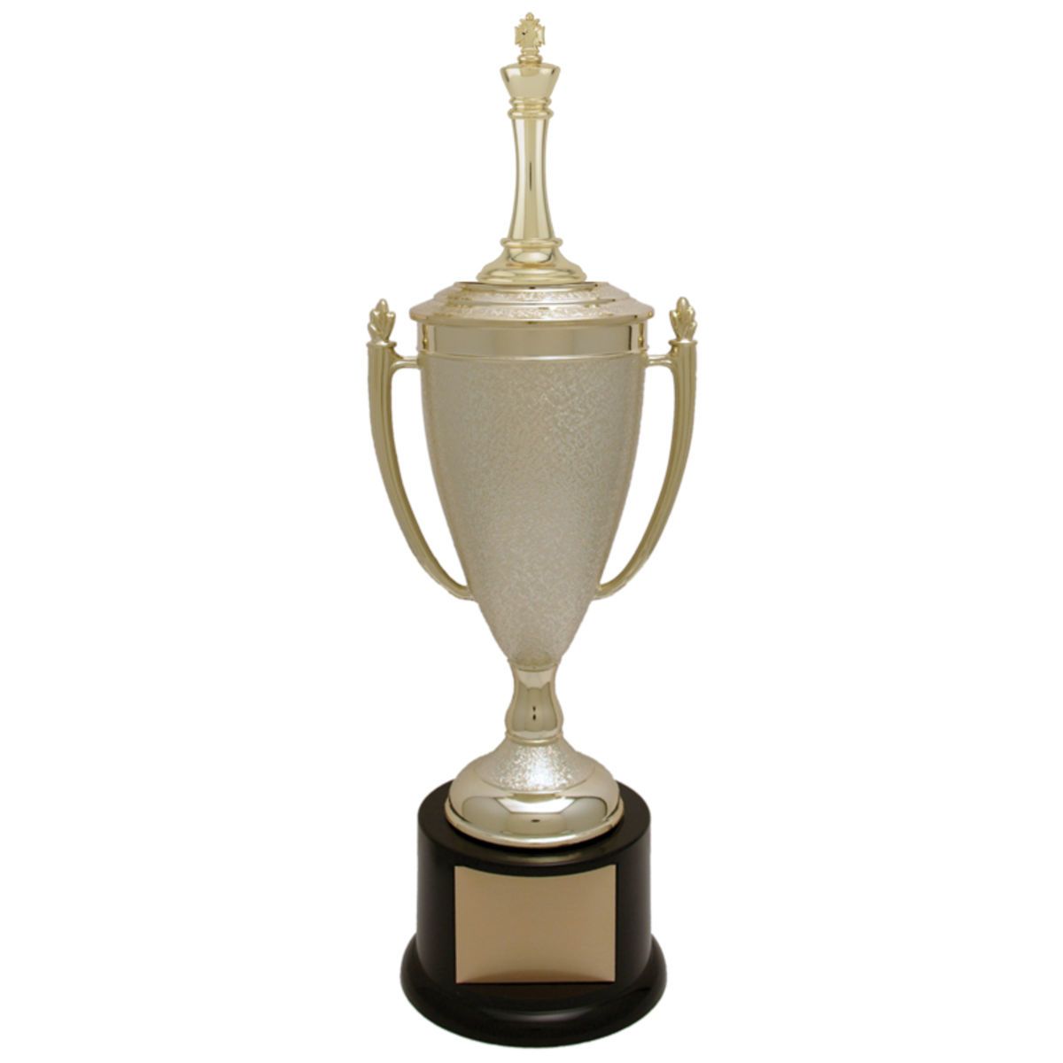 Stipple cup award trophy, 14 | Perfect Imprints