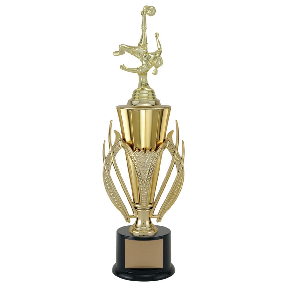 Promotional Vanguard Cup Set - Gold, Award Trophy, 12 Personalized With ...