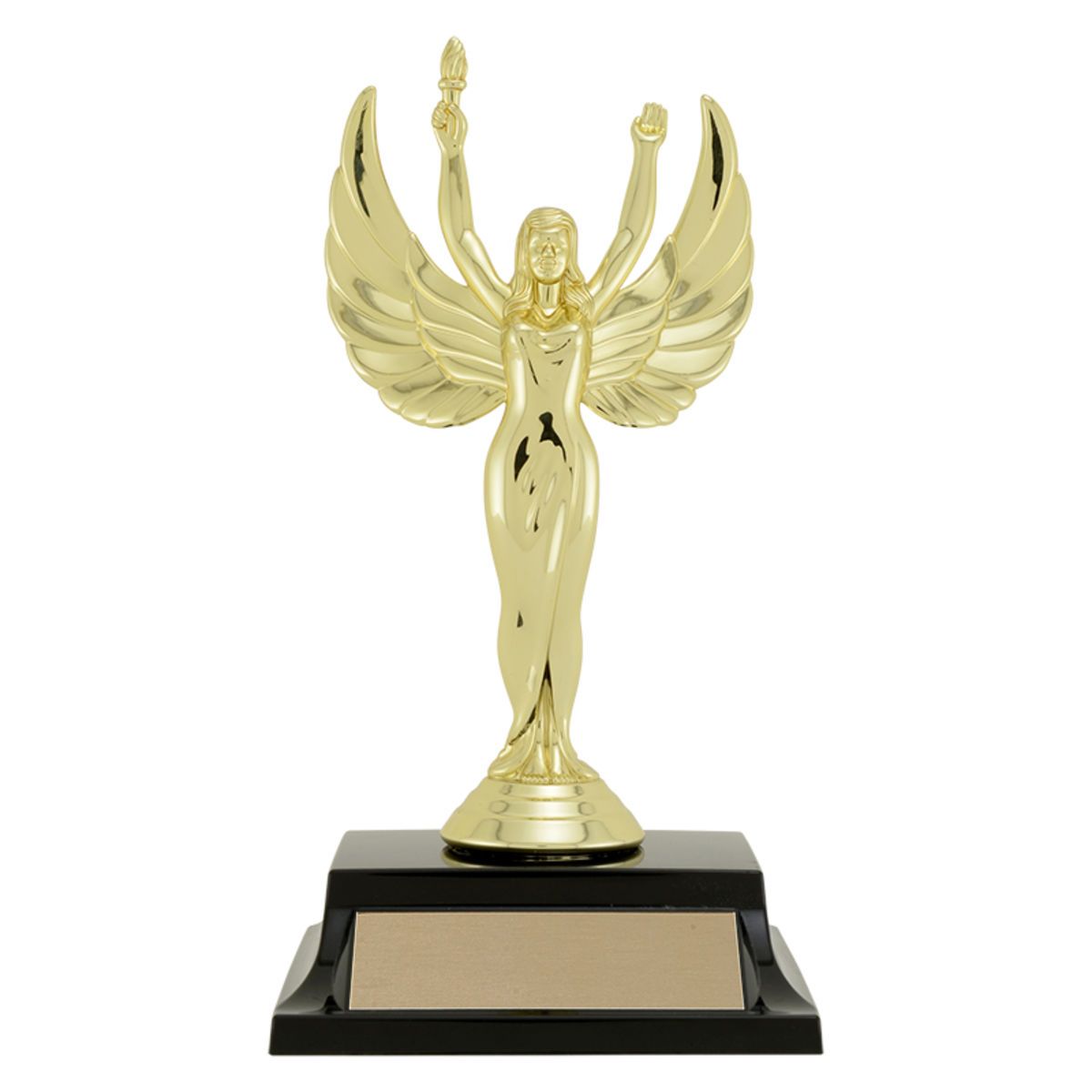 Victory - m award trophy, 6? | Coggins Promo