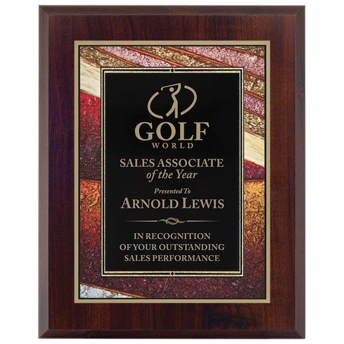 Promotional Focus, Gold Art, Award Trophy, 8x 10 Personalized With Your ...