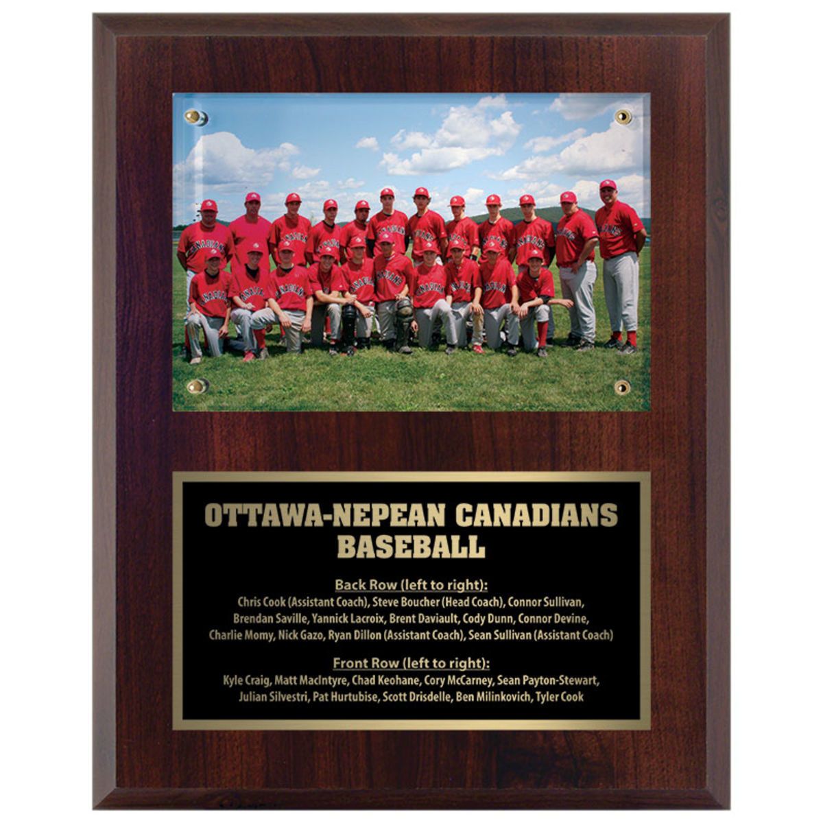 Promotional Photo plaque (surface mount) - black ash, 8x 10 ...