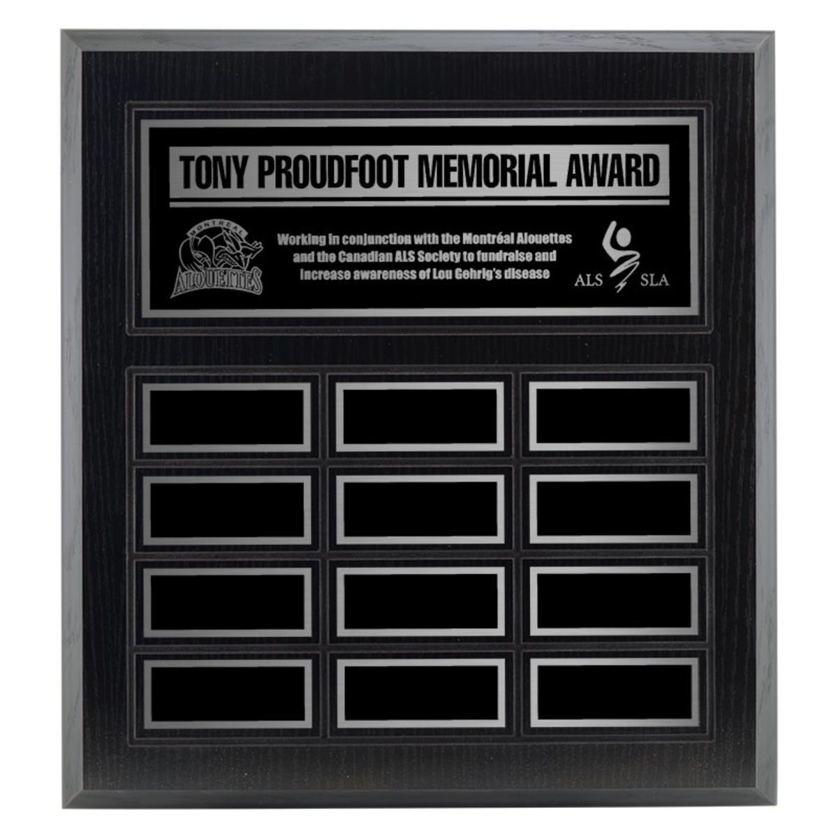 Promotional Black ash grooved annual plaque, award trophy, 12x 12 ...