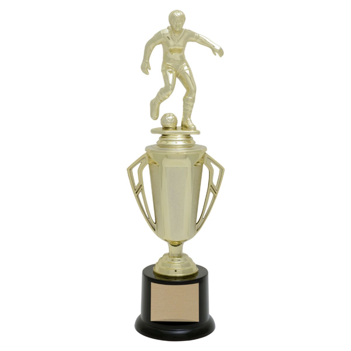 Promotional Diamond Cup, Award Trophy, 15 Personalized With Your Custom ...