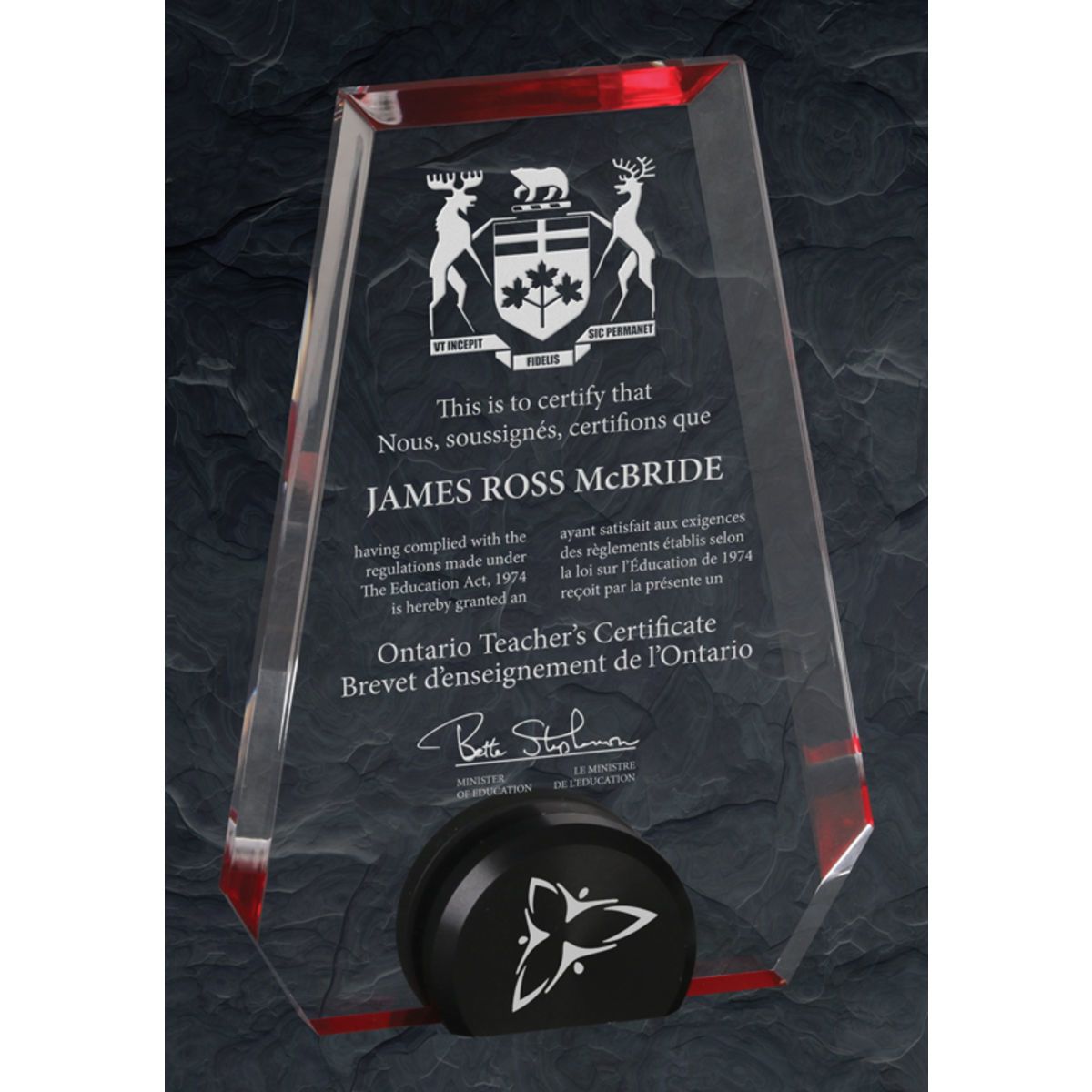 Promotional Vito Cup - Silver Award Trophy, 4x 6 Personalized With Your ...