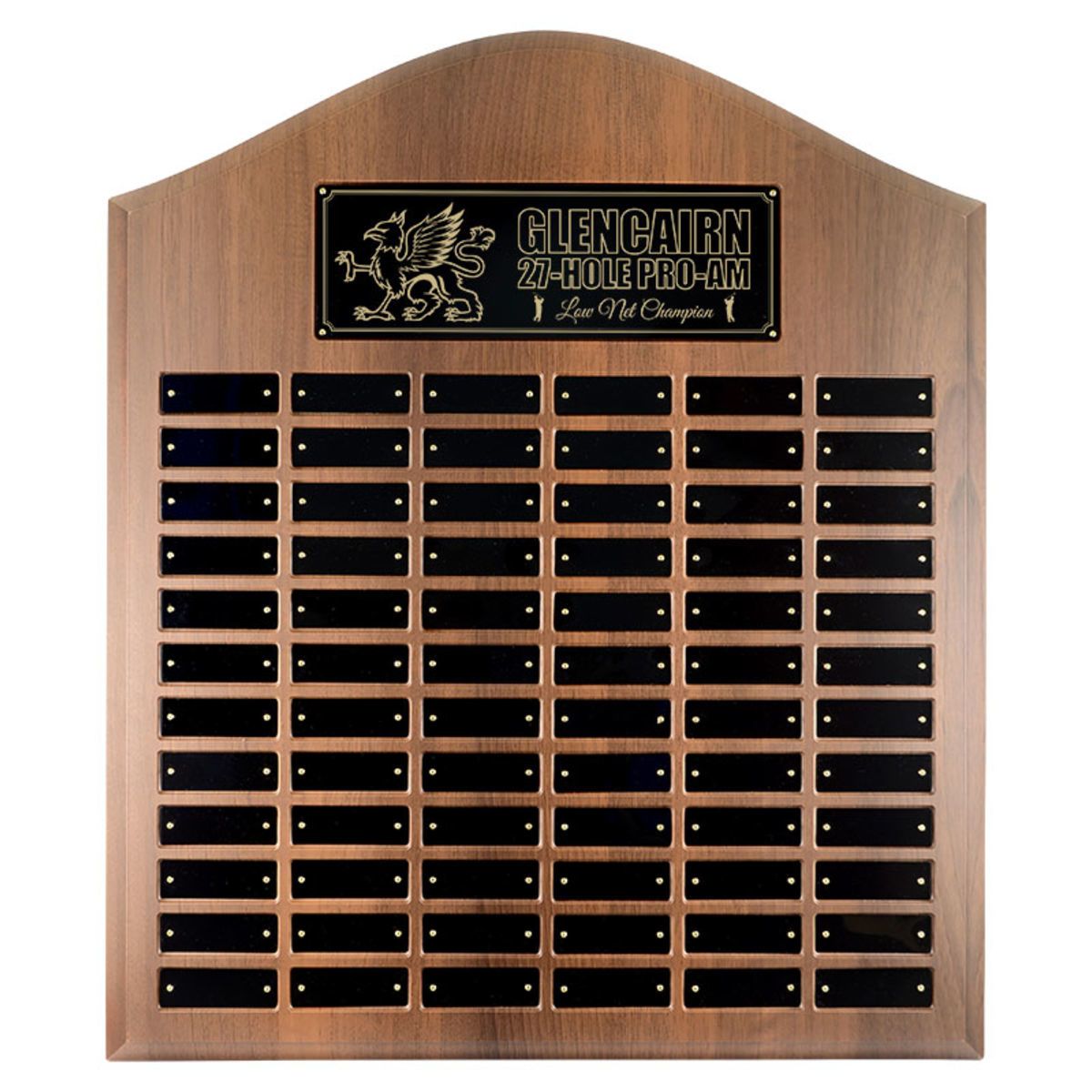 Promotional Cathedral annual plaque, award trophy, 23x 27 Personalized ...