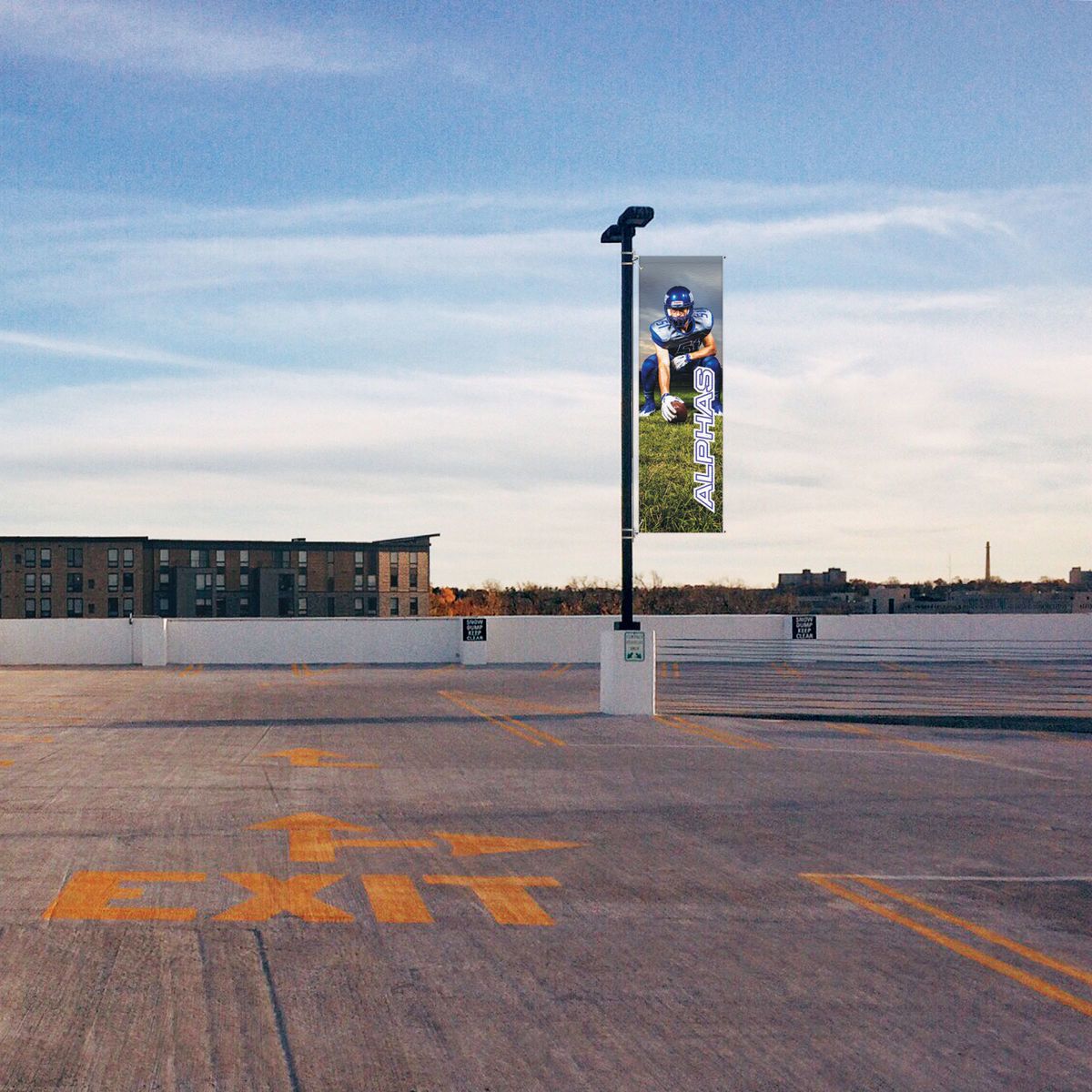 Promotional 96 x 29 custom polyester avenue banner Personalized With ...