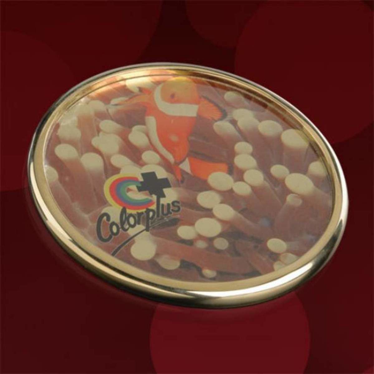 Mayfair coaster - individual | SWAGBOX.COM